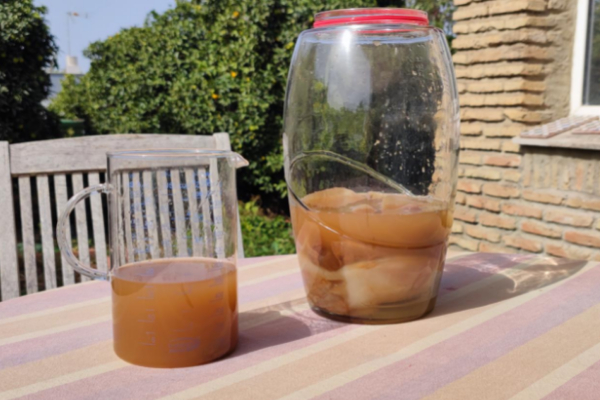 Cómo hacer un hotel de scoby paso a paso